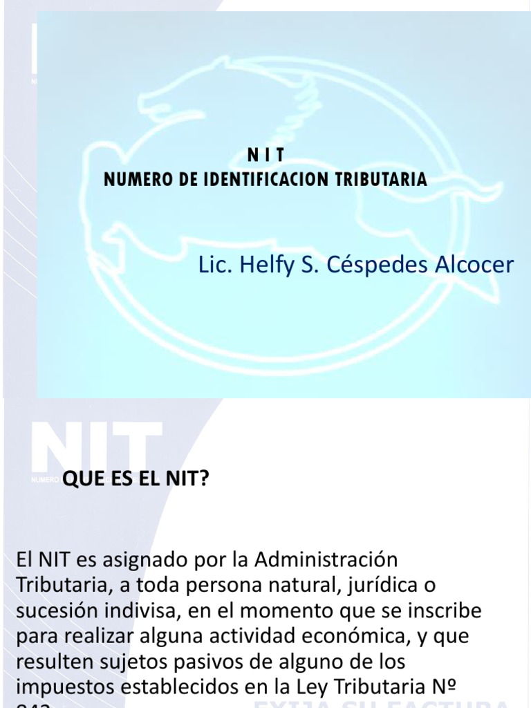 Como Obtener Nit | PDF | Contraseña | Business