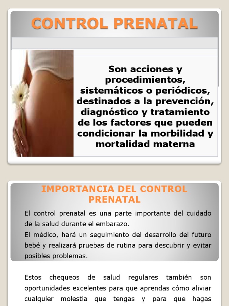 Control Prenatal | PDF | El embarazo | Vacunas