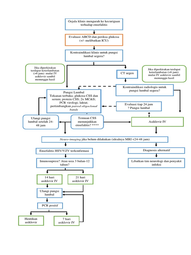 Algoritma Ensefalitis | PDF