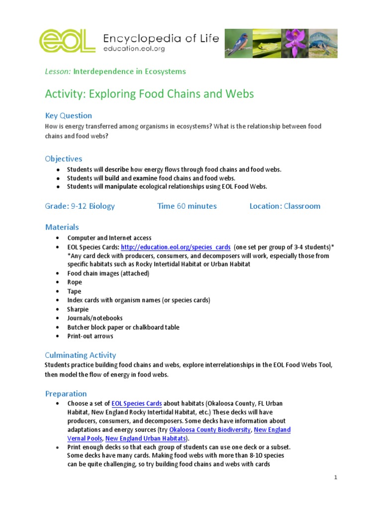 9-12 Interdependence1 FoodChainsAndWebs PDF | PDF | Food Web | Ecosystem