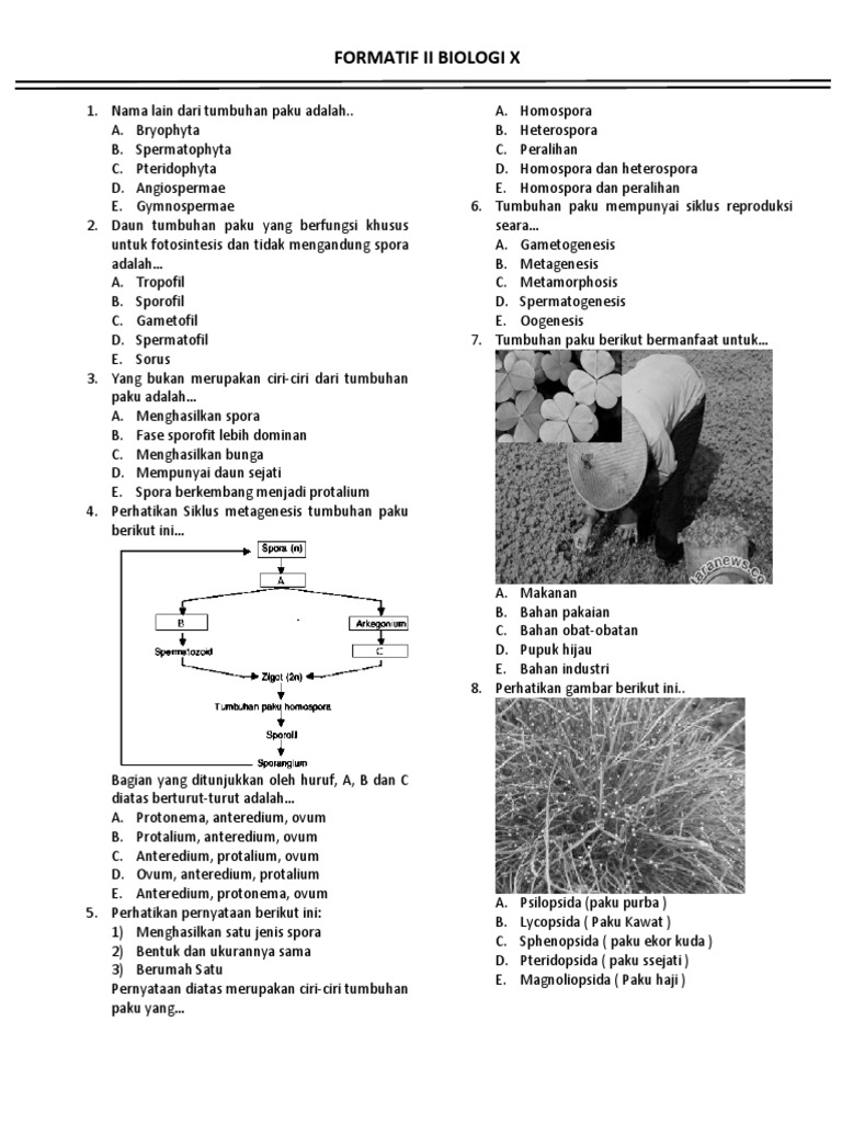 Formatif Biologi II Kelas X Paku Dan Spermatophyta | PDF