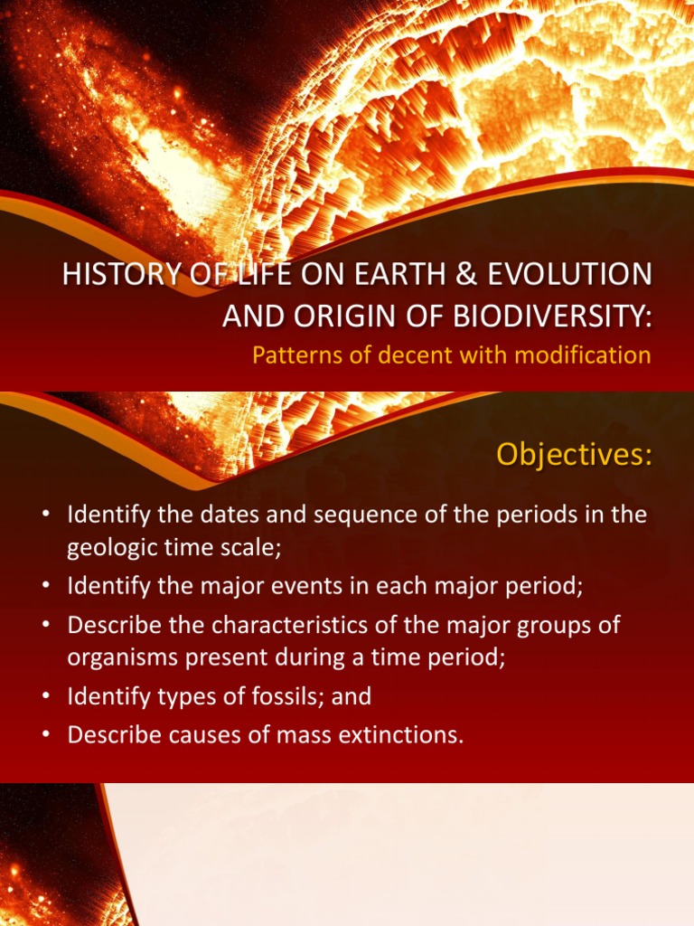 History of Life On Earth | PDF | Rock (Geology) | Geologic Time Scale