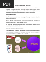Test de Allen: Procedimiento y Utilidad | PDF | Artería | Medicina