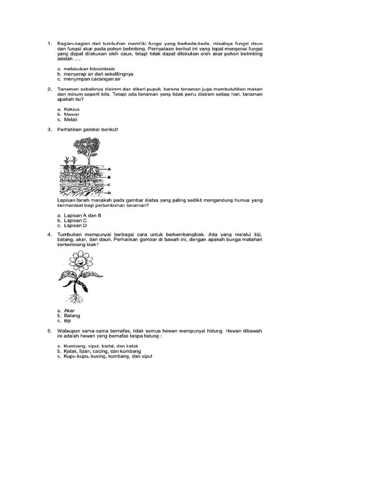 Soal Olimpiade Sains Kuark | PDF
