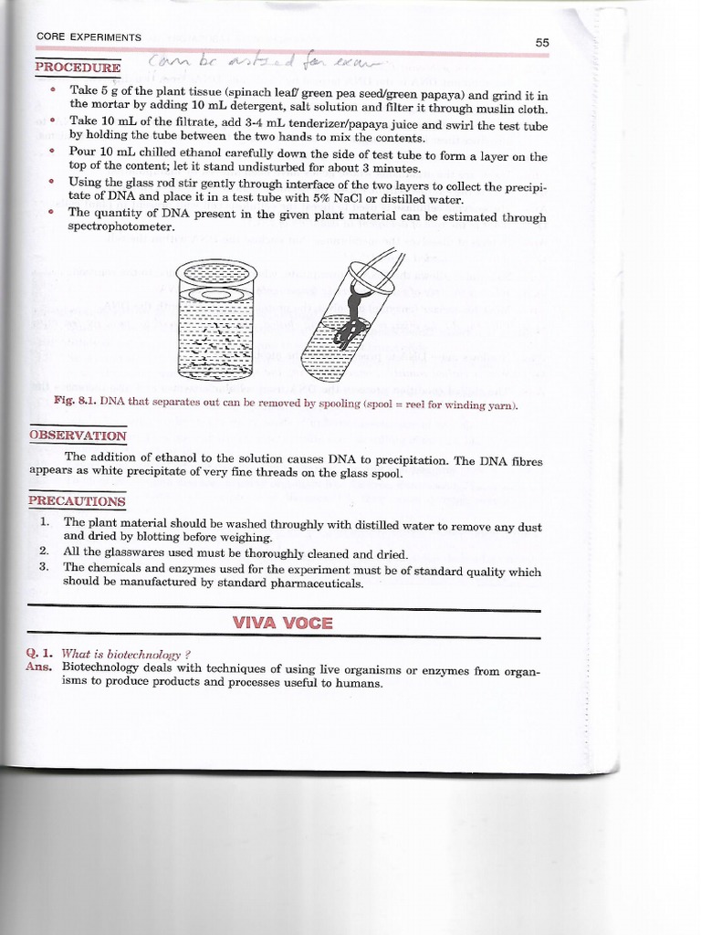 Biotechnology - Lab Practicals - DNA Extraction | PDF