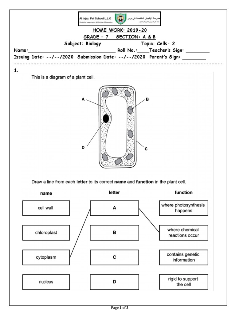 Grade 7 Biology Cells - Cells - 2 PDF | PDF