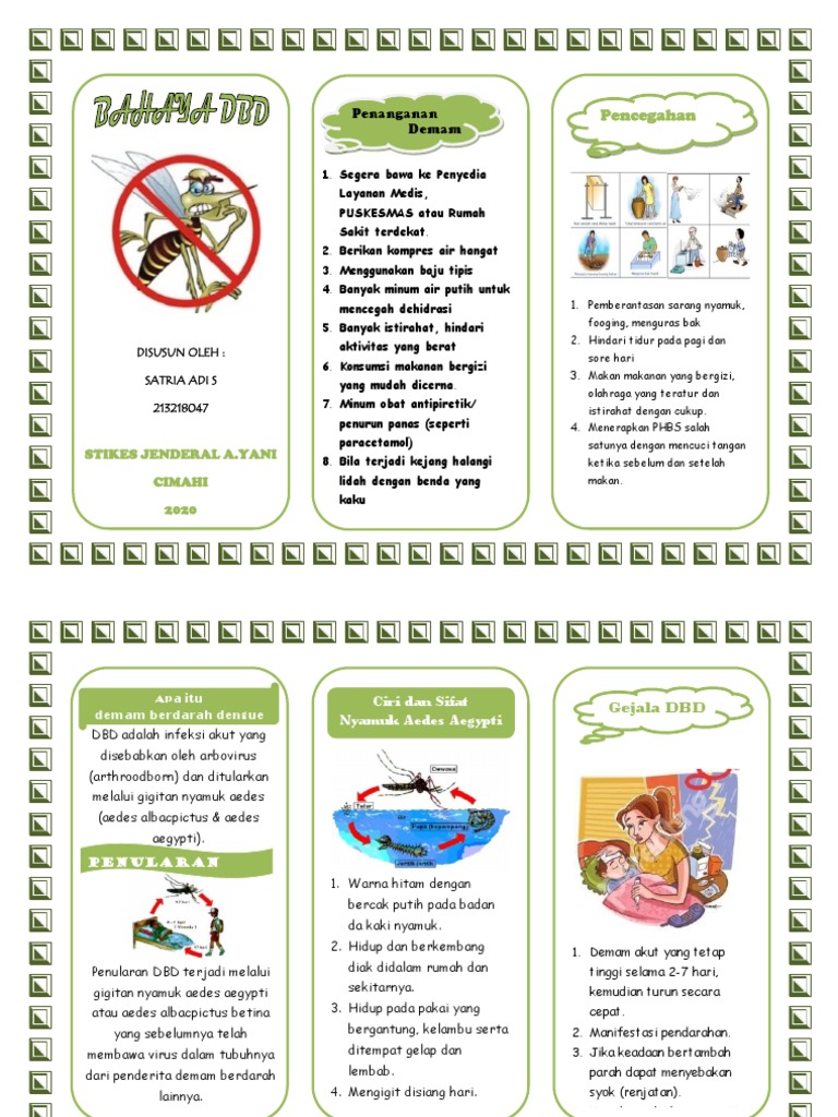 Leaflet DF (DBD) | PDF