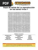 Sopa de Letras de La Fotosíntesis - 76 | PDF