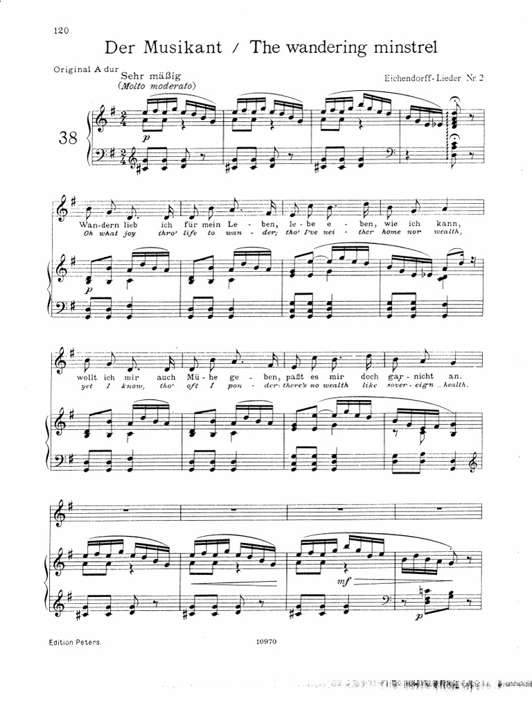 Der Musikant PDF | PDF