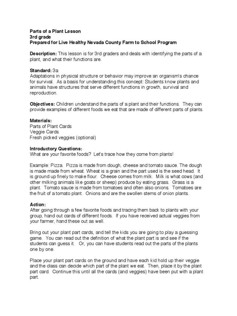 Parts of a Plant Lesson Plan for Grade 3 | PDF | Plants | Photosynthesis
