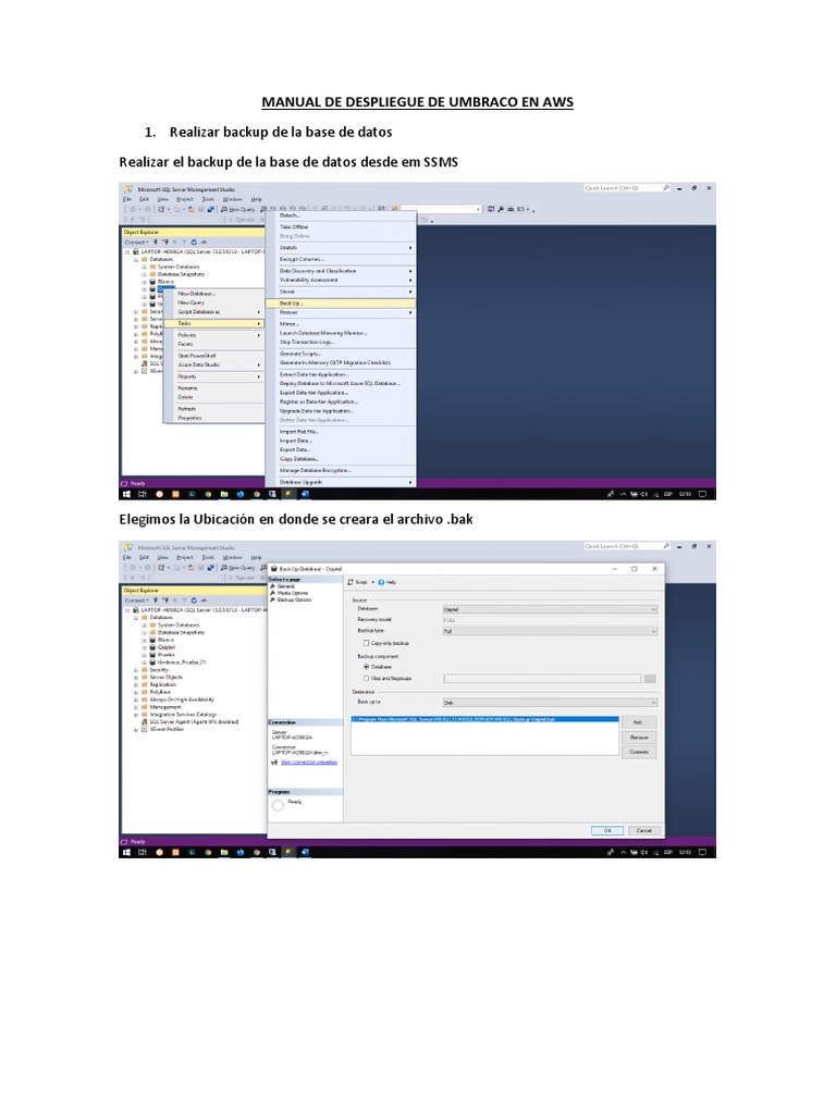 Manual de Despliegue de Umbraco en Aws | PDF