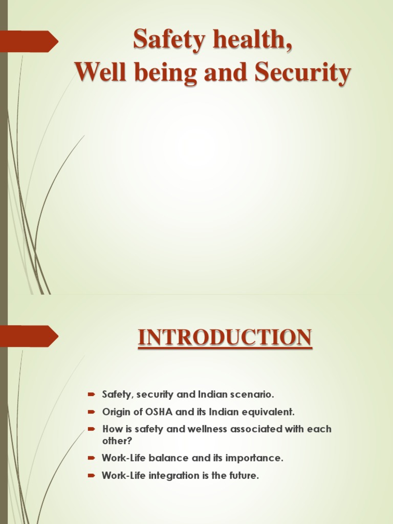 Safety Health, Well Being and Security | PDF