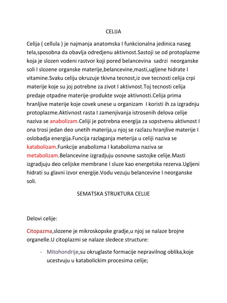 CELIJA | PDF