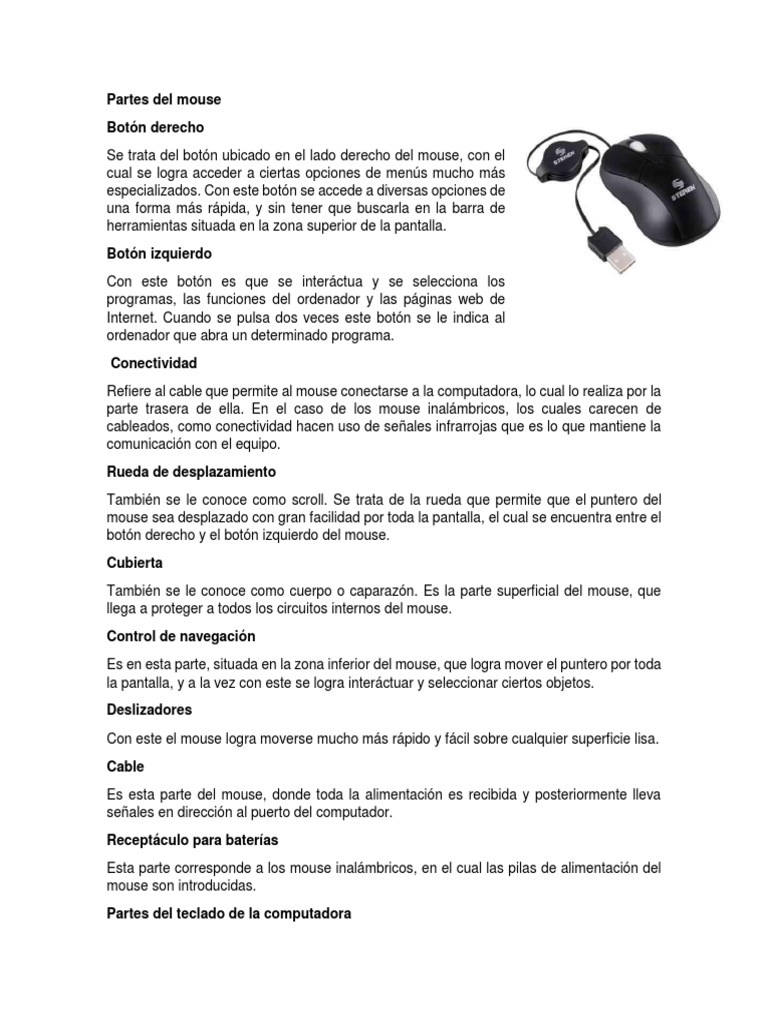 Partes Del Mouse | PDF | Teclado | Informática