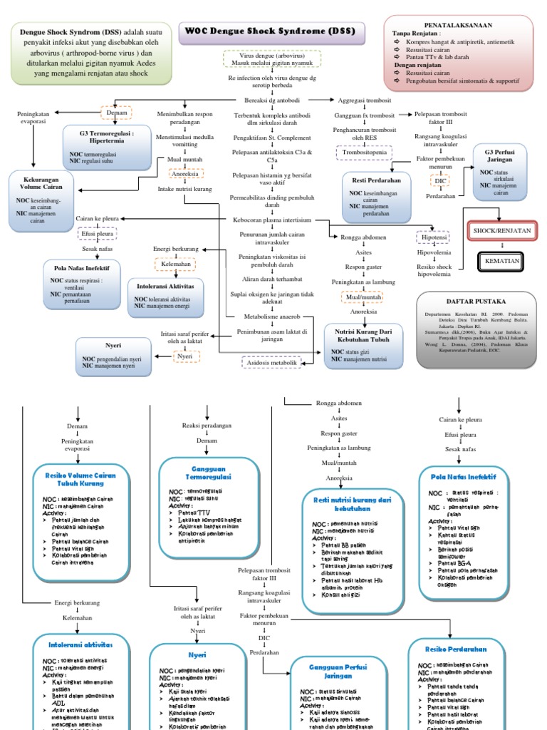 Pathways DSS | PDF
