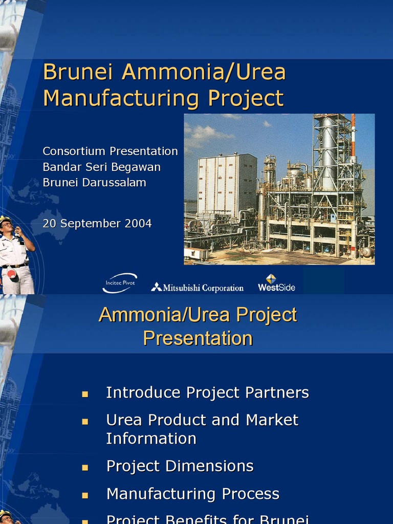 Urea Manufacturing Project | PDF | Urea | Natural Gas