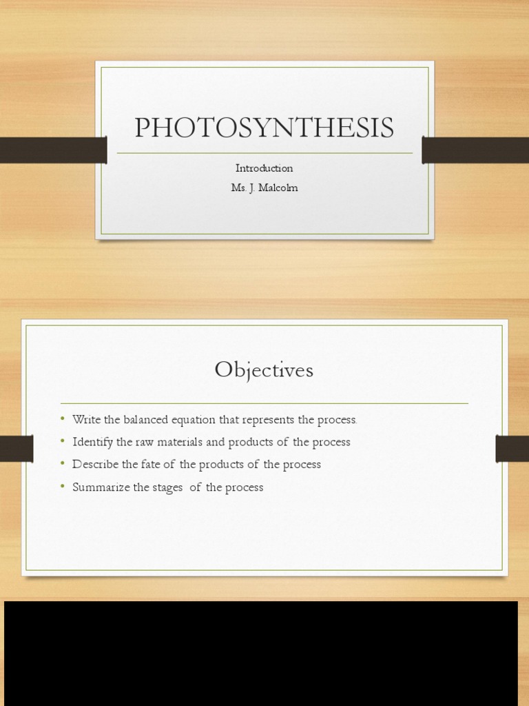 PHOTOSYNTHESIS Grade 10 | PDF | Leaf | Photosynthesis
