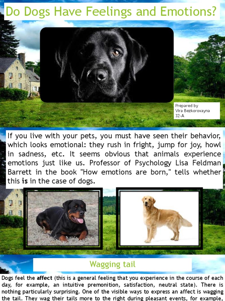 Do Dogs Have Emotions | PDF | Instinct | Dogs