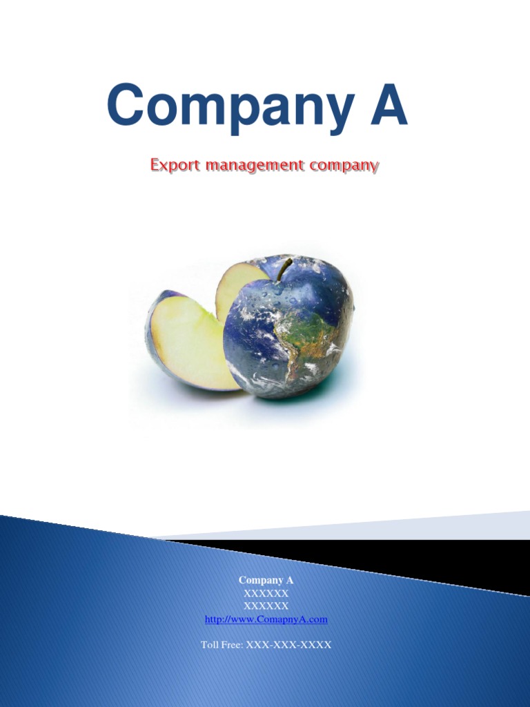 Import Export Business Plan | PDF | Franchising | Employment