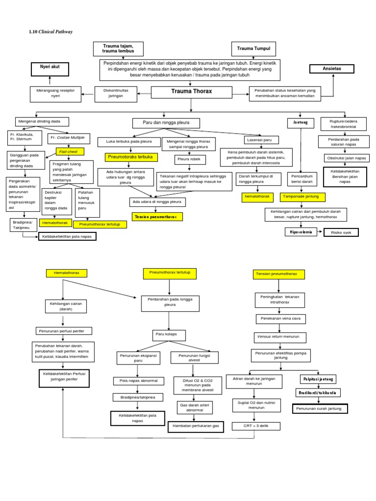 Pathway 12 Hcu | PDF