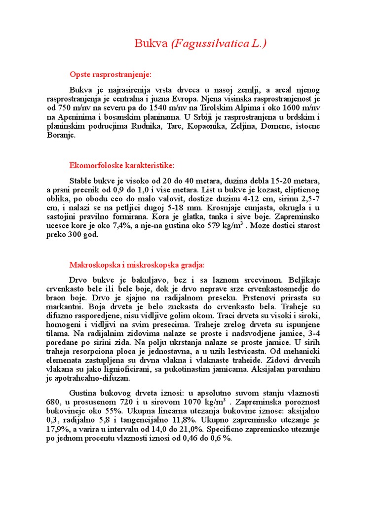 Bukva | PDF