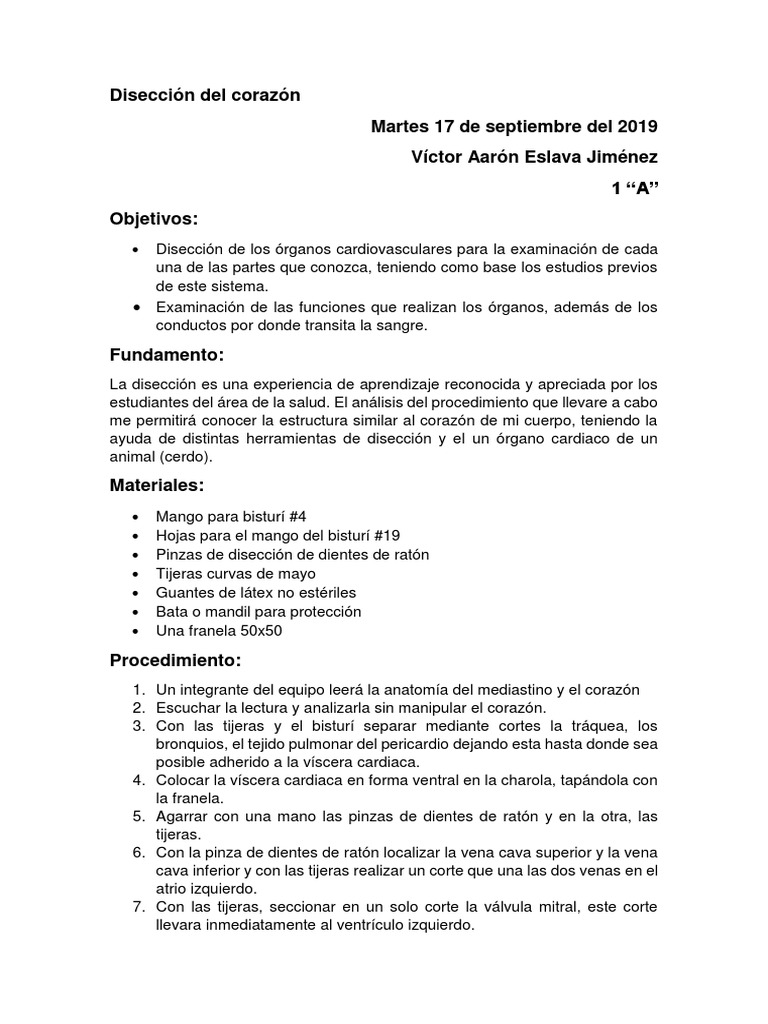 Diseccion Del Corazon | PDF | Corazón | Tórax (anatomía humana)