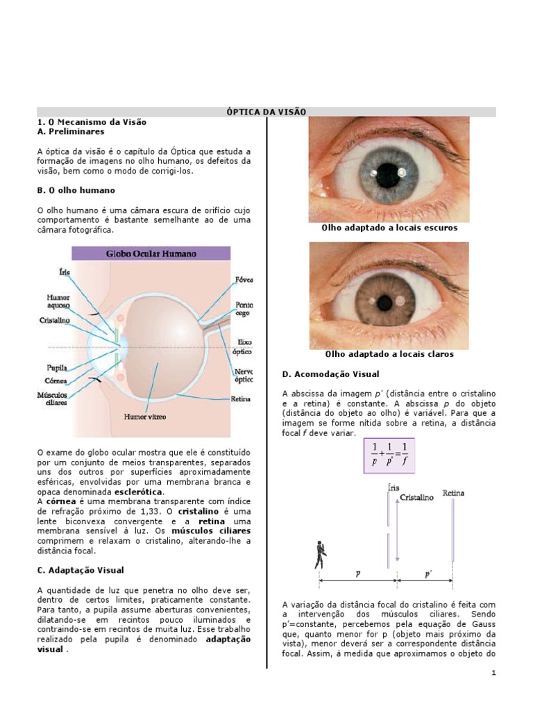 Optica Da Visao | PDF | Sistema visual | Ótica