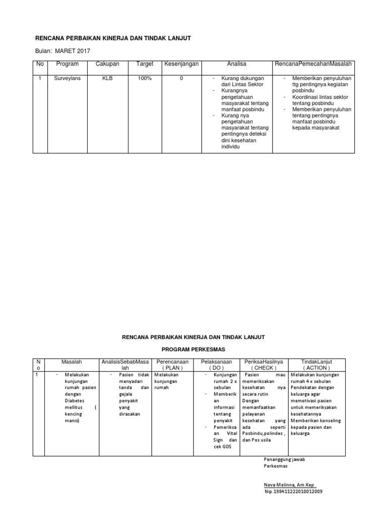 Pdca Perkesmas | PDF
