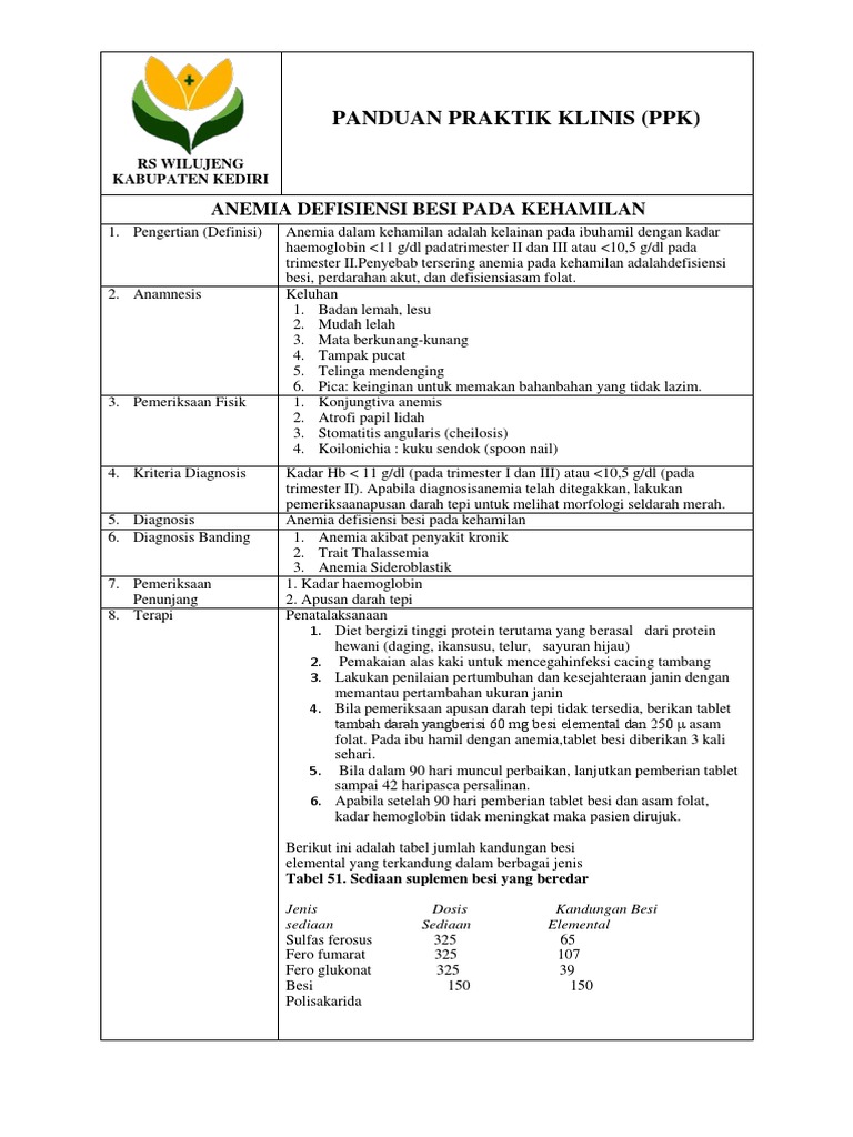 PPK Anemia Defisiensi Besi Pada Kehamilan | PDF