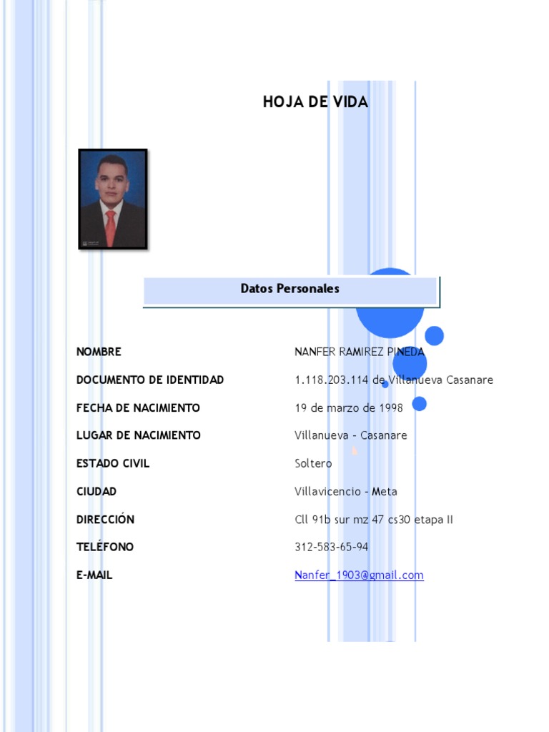 Hoja de Vida Nanfer Ramirez Pineda | PDF | Science | Ciencia y Tecnología