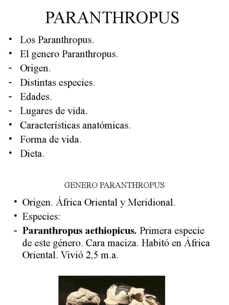 PARANTHROPUS | PDF