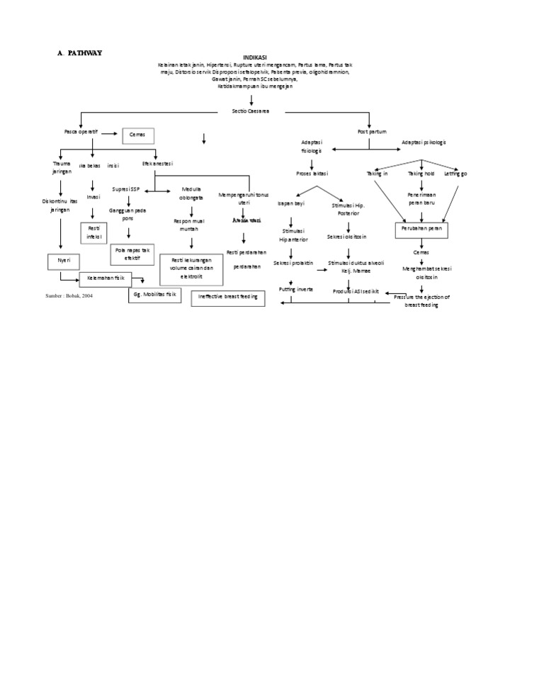 Pathway SC Indikasi | PDF