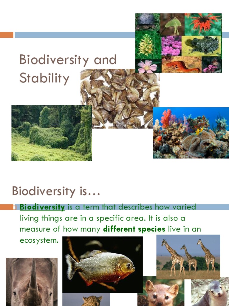 Biodiversity's Role in Ecosystem Stability | PDF | Biodiversity | Ecosystem