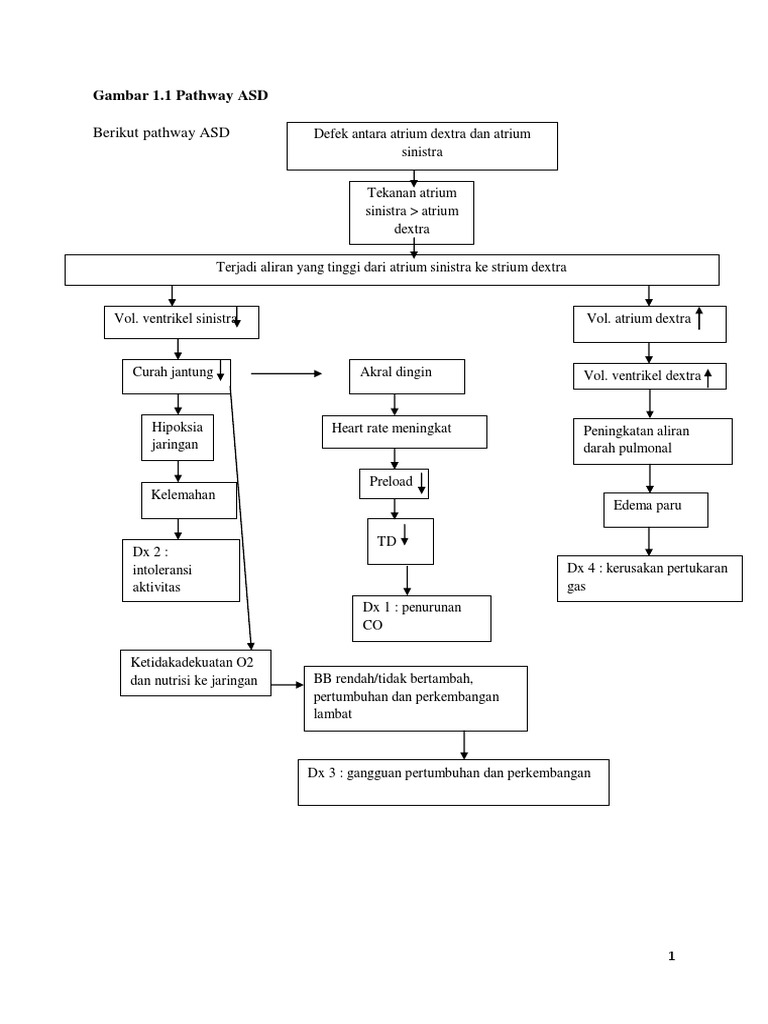 Pathway Atrial Septal Defect (ASD) | PDF