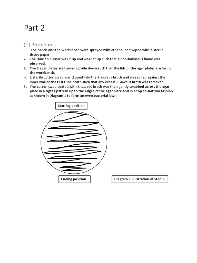 HKDSE Biology SBA (Antimicrobial Test) | PDF | Gram Negative Bacteria ...