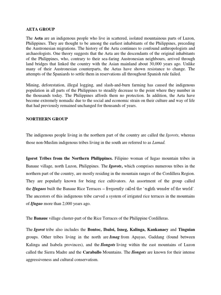 Aeta Group | PDF | Musical Instruments | Ethnic Groups