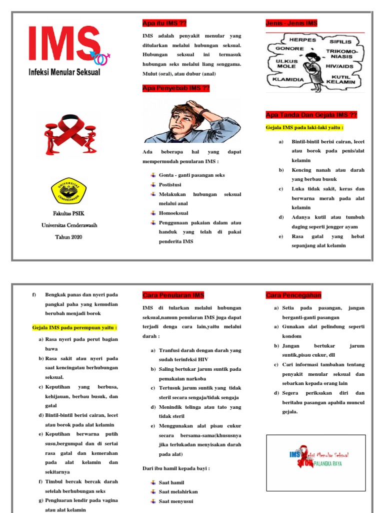 Leaflet Ims | PDF