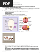 BEmONC and CEmONC | PDF | Maternal Health | Childbirth