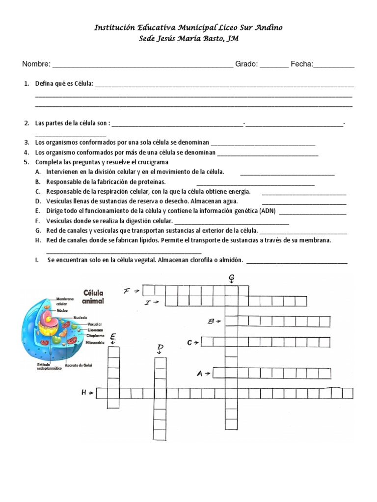 Taller de Repaso, La Célula | PDF | Vesícula (biología y química ...