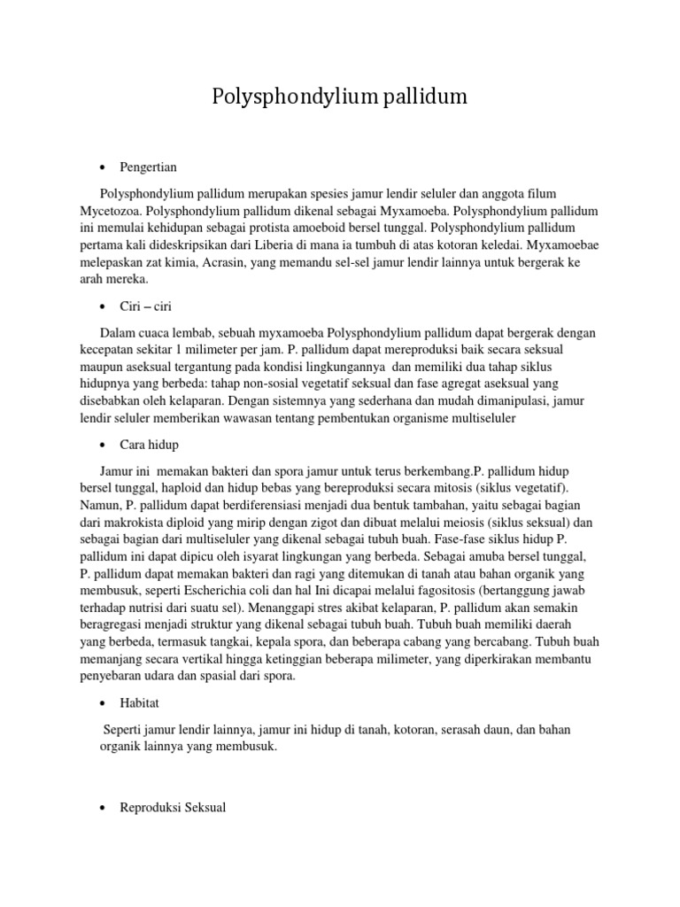 Polysphondylium Pallidum Paper | PDF