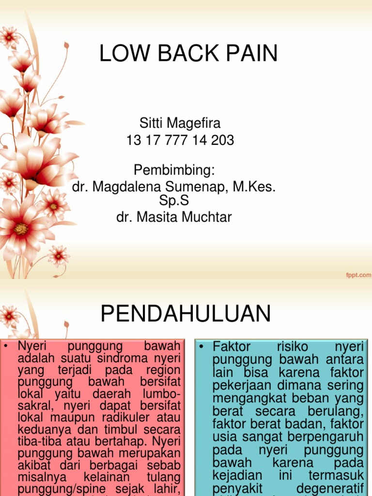 Low Back Pain | PDF