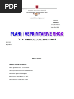 Plani I Aktiviteteve | PDF