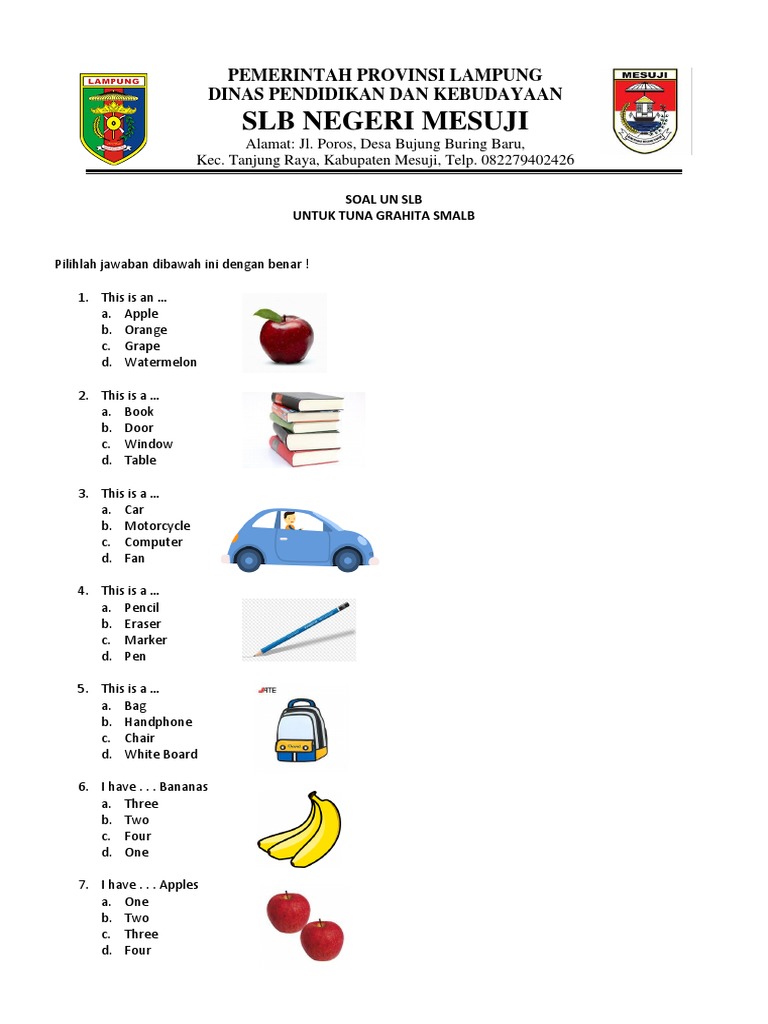 Kisi-Kisi Soal UN SMALB TUNAGRAHITA | PDF