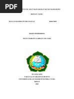 Budaya Tradisional Suku Marind Merauke | PDF
