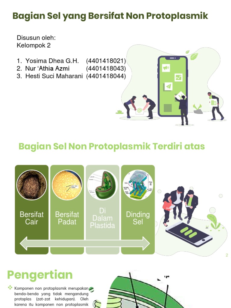 Komponen Non Protoplasmik Sel Tumbuhan | PDF