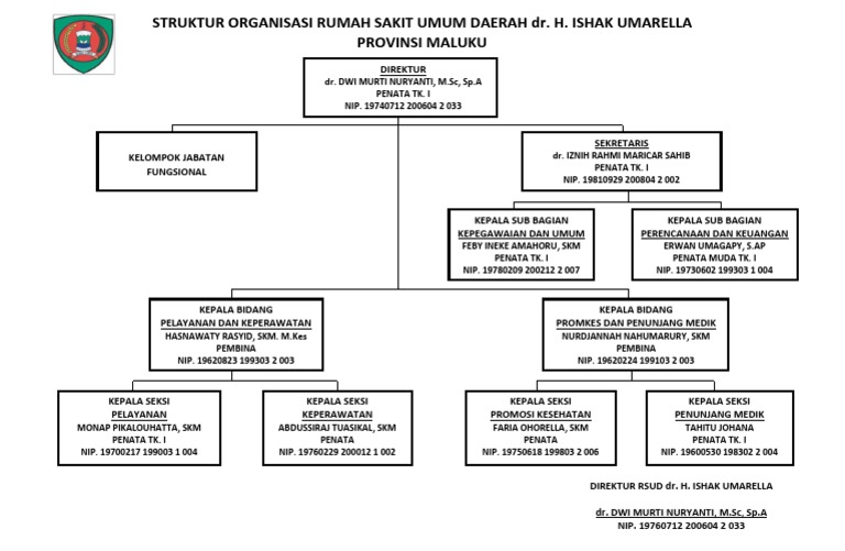 Struktur Organisasi Rumah Sakit Umum Daerah Tulehu | PDF