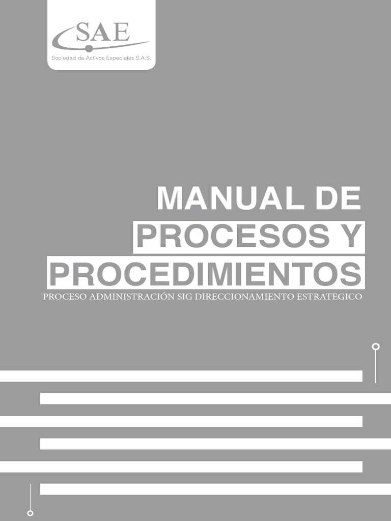 Manual de Procesos y Procedimientos | PDF | La seguridad informática | Seguridad