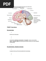 Brain Bee 2013 Study Guide Questions | PDF | Stimulus (Physiology ...