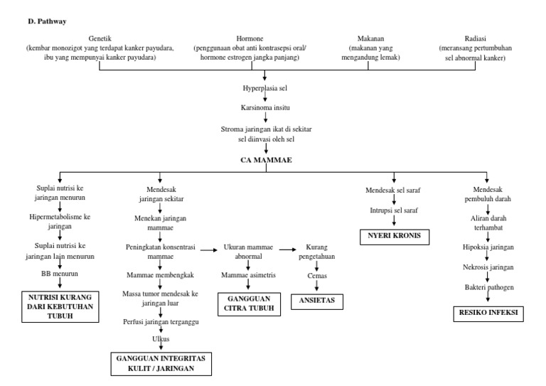 Pathway CA MAMAE | PDF