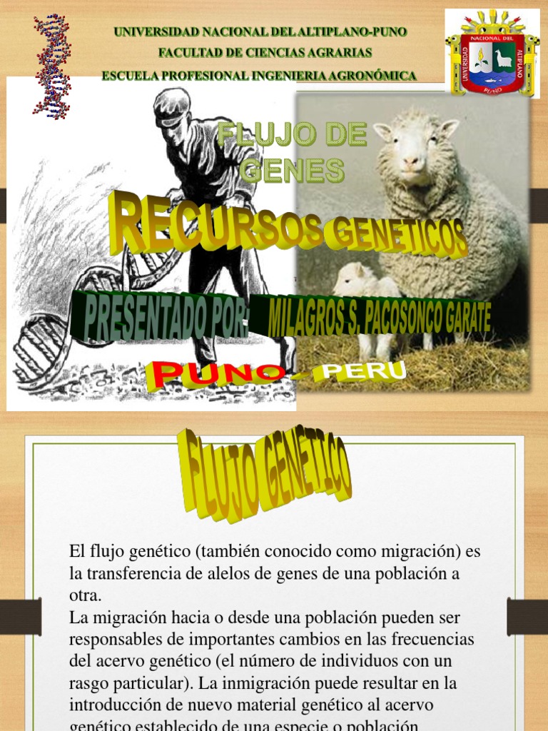 Flujo Genetico | PDF